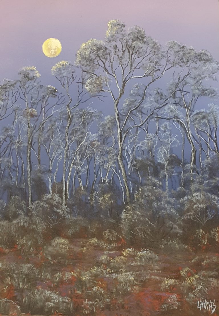 2020 Roma On Bungil Exhibition Lyn Barnes 2020-roma-on-bungil-exhibition-lyn-barnes